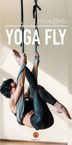 What is Yoga Fly? – YogaAum